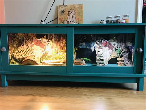 Pin By Cathy Gipson On Bearded Dragon Bearded Dragon Tank Bearded