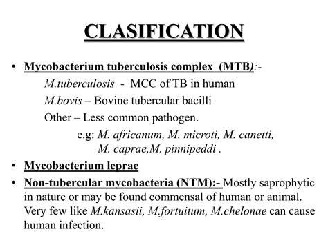 Mycobacterium Pptx