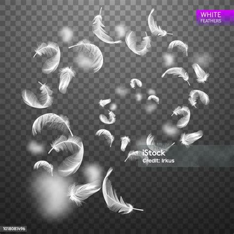 떨어지는 투명 한 배경에 고립 된 현실적인 깃털 나선형 Twirled 빛 귀여운 깃털 디자인입니다 디자인에 대 한 요소입니다 벡터 일러스트입니다 깃털에 대한 스톡 벡터 아트