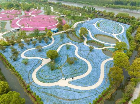 土灶擂台、花田集市、大地秀场沪郊朱泾这样开启假期模式城事 文汇网
