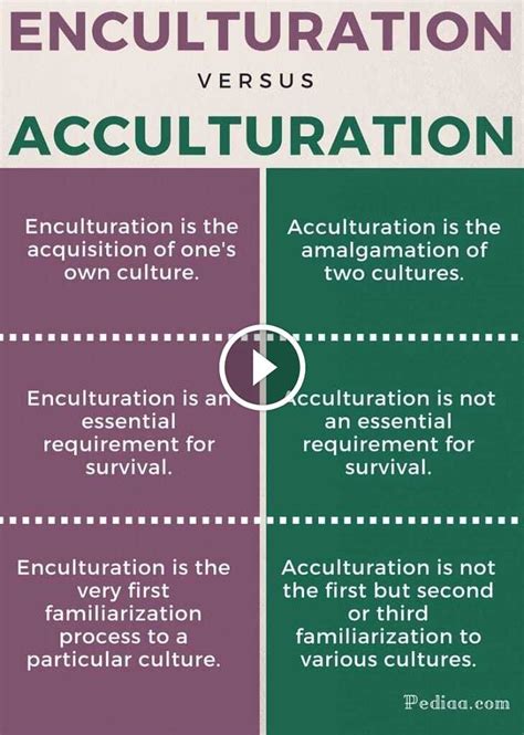 Acculturation Examples Acculturation