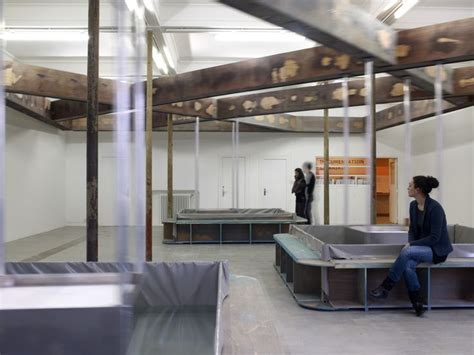 Plafond Tamponneur 2013 Assemblage De Planches De Contreplaqué Bâches