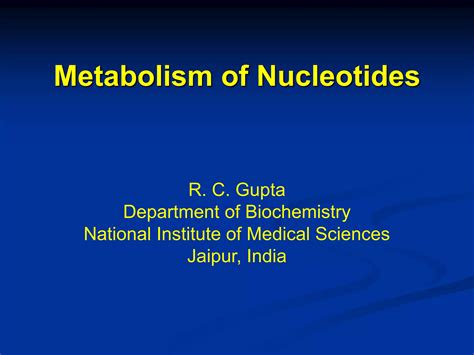 Metabolism Of Nucleotides Pptx