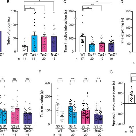 Social Behaviors In Tsc1 − Tsc2 − And Tscd − Mice A C Frequencies Download Scientific