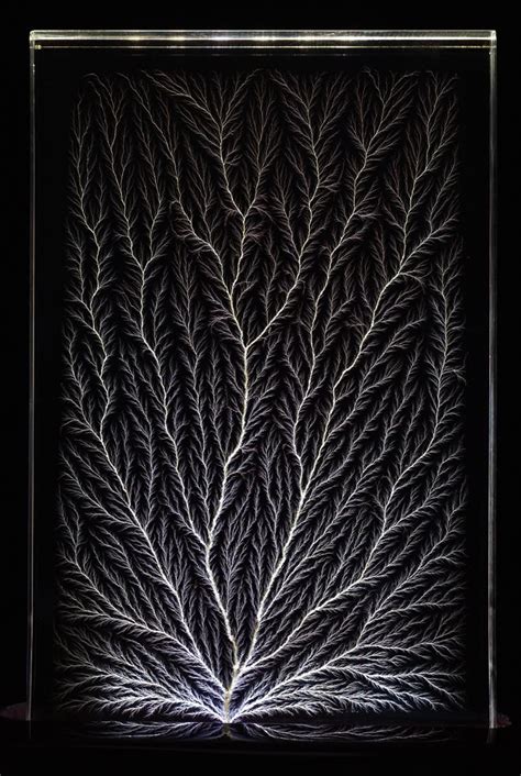 Lichtenberg Figure Tattoo
