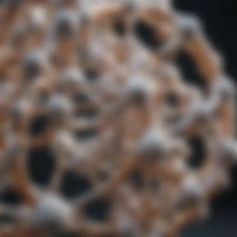 Understanding Casein Protein Composition And Characteristics