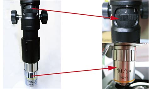 Difference Between Digital Microscope Magnification And Stereo