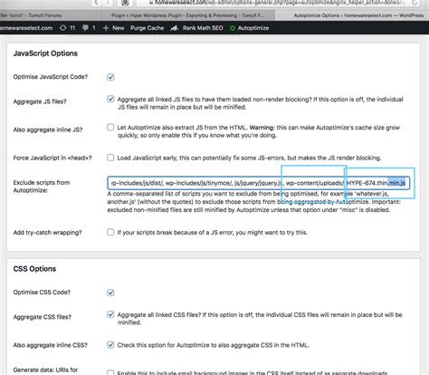 Autoptimize Plugin Hype Wordpress Plugin Exporting And Previewing