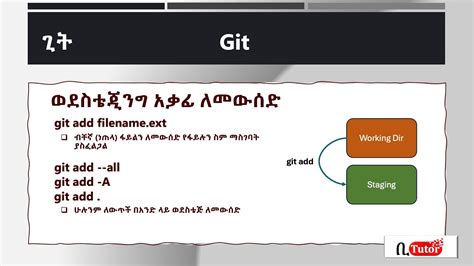 Git And Github Part 7 Git Add Amharic Lang Youtube