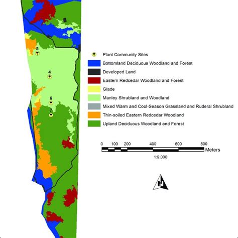 Modified Daubenmire Cover Value Scale Used To Determine Ground Flora Download Scientific