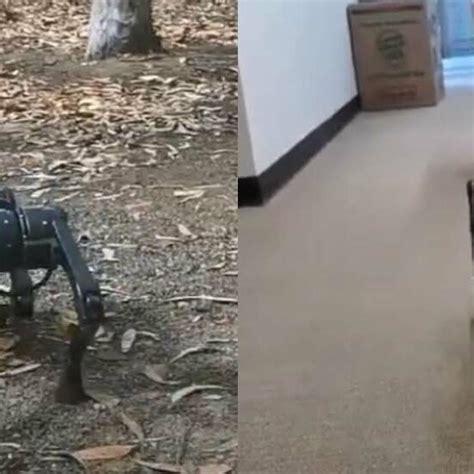 Illustration Examples Of Distribution Shifts In Imagebased Tasks Where Download Scientific