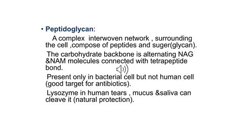 Microbiology Structure Of Bacteria Pptx