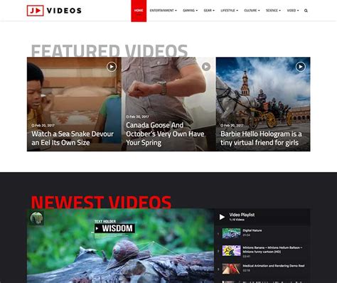 Jannah Wordpress Theme