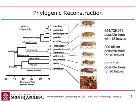 Ppt Dr Jason D Bakos Assistant Professor Heterogeneous And Reconfigurable Computing Lab