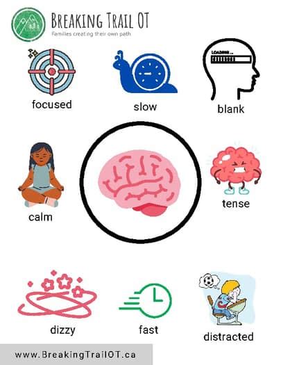 Interoception And Body Awareness Visual By Breaking Trail Ot Tpt