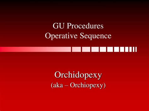 Cpt Orchiopexy Torsion Piaexecutive