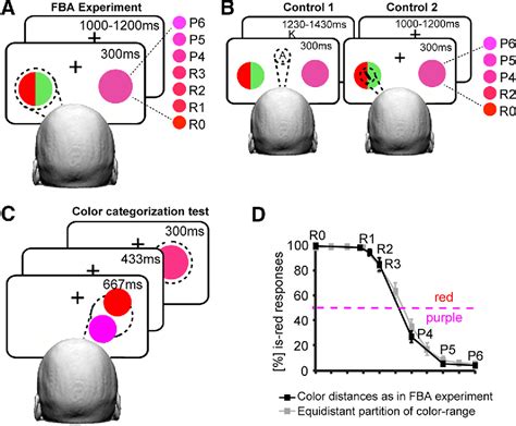 Figure 1 From Attention To Color Sharpens Neural Population Tuning Via Feedback Processing In