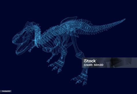 다각형 공룡 와이어 프레임 등각 투영 뷰 3d 벡터 공룡에 대한 스톡 벡터 아트 및 기타 이미지 공룡 3차원 형태 로우 폴리곤 모델링 Istock