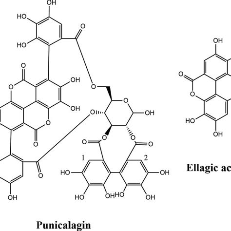 Hplc Chromatogram And Uv‐visible Absorption Spectrogram Of Polyphenols Download Scientific
