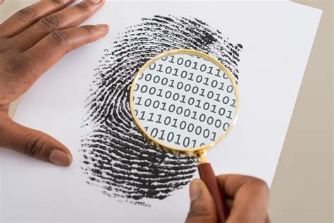 Introduction To Data Mining Black In Data