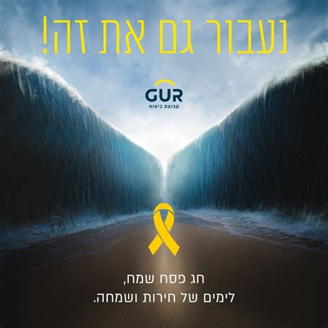 לימים של חרות חג אביב מלא בשורות טובות לכולנו יחדיו אבנר Gur Group Avner Levi Adv [llm Llb]