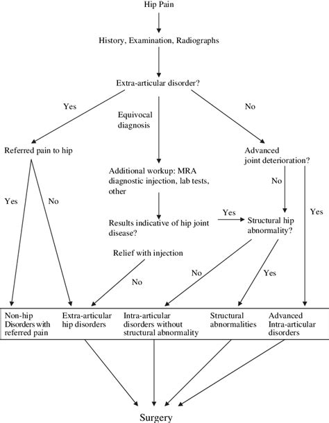 Algorithm For Assessing And Treating Hip Pain Data From Clohisy Jc
