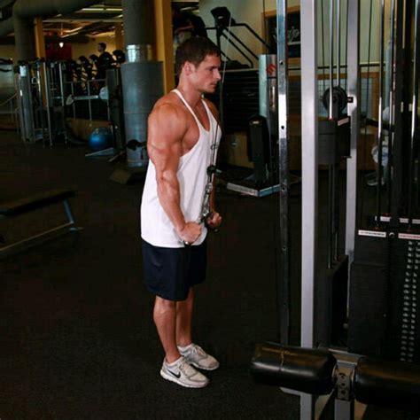 Triceps Pushdown V Bar Attachment By Cliff Fettner Exercise How To