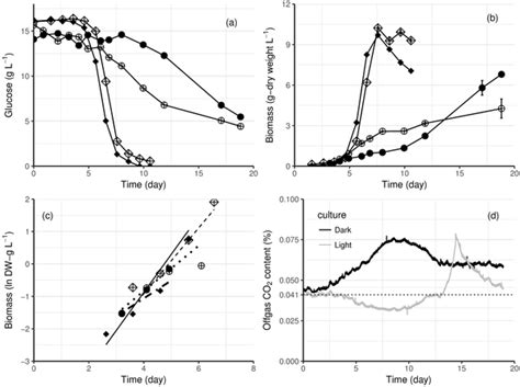 Euglena Gracilis Diagram