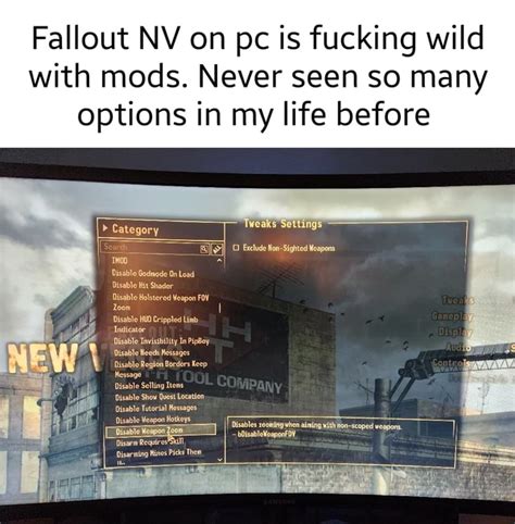 Fallout Nv On Pc Ts Fucking Wild With Mods N Ever Seen So Many Options In My Life Before
