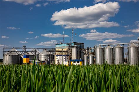 들판을 배경으로 한 농업 사일로 곡물 밀 옥수수 콩 해바라기의 저장 및 건조는 흰 구름과 함께 푸른 하늘을 배경으로 합니다 작물 저장 공장 산업 건물에 대한 스톡 사진 및