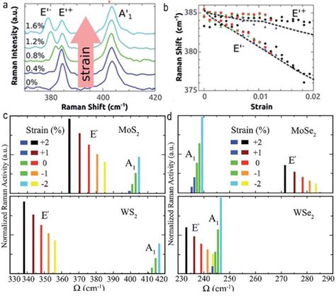 A Raman Spectra Of Monolayer Mos 2 Under Different Strain B Download Scientific Diagram