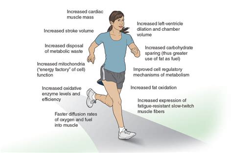 Discover The Benefits Of Training On Health And Athletic Performance