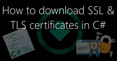 Example Of Tls Certificate At Zara Khull Blog
