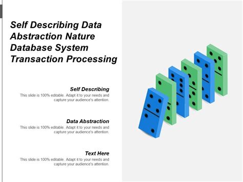 Self Describing Data Abstraction Nature Database System Transaction