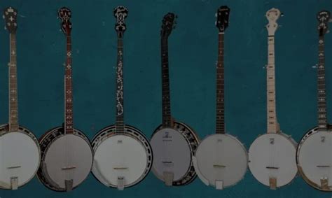 Black Banjo Renaissance American Banjo