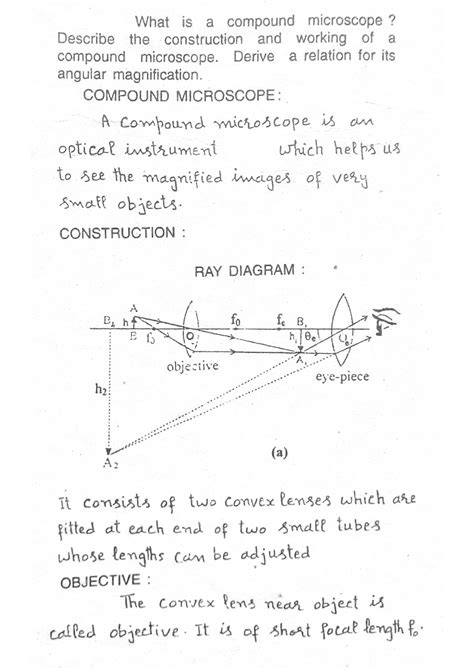 Does Compound Microscope Produce Angular Magnification At Kaitlyn Maund Blog