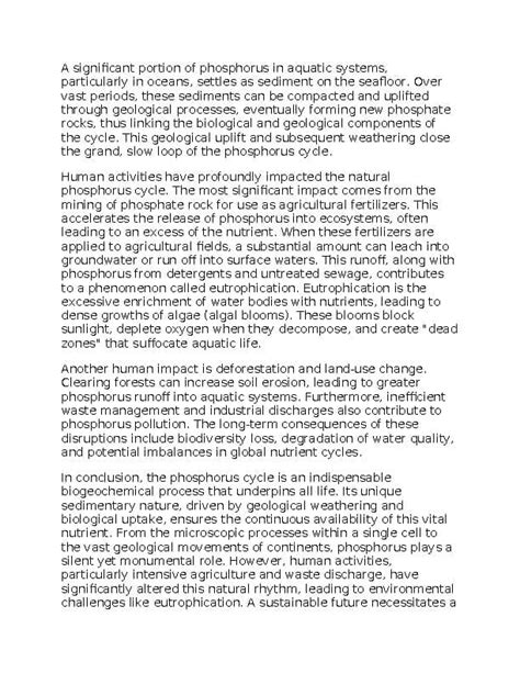 Phosphorous Cycle Worksheet For Sub Plan Or Classwork And Homework