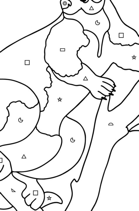 Tree kangaroo сoloring page Online and Print for Free