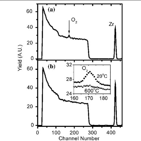 The Spectra From The Rutherford Backscattering Spectroscopy