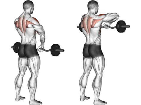 Barbell Upright Row Liftosaur