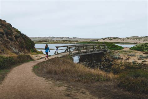 Abbotts Lagoon Trail In Point Reyes National Seashore
