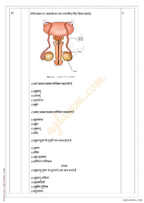 Class Science Model Paper PDF OneEdu