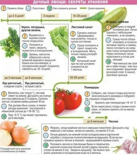 25 важных шпаргалок для садоводов-огородников | Smart garden, Fruit ...