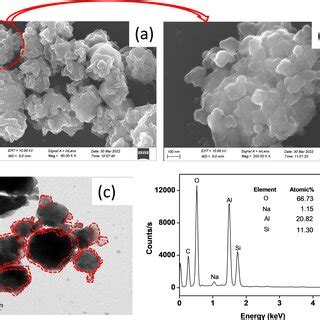 A FESEM Low Mag B FESEM High Mag C TEM Images And D EDS Download Scientific