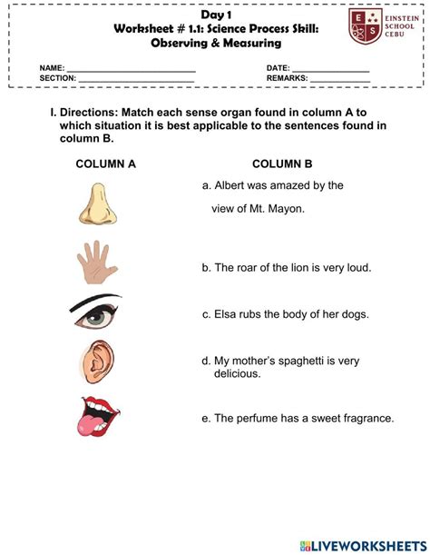 1125734 science process skill observing and measuring
