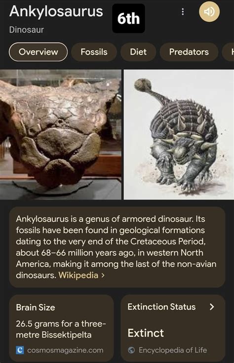 My Top 10 Favorite Dinosaurs Whats Yours R Dinosaurs