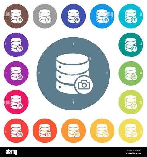 Database Snapshot Flat White Icons On Round Color Backgrounds 17 Background Color Variations