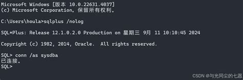 关于plsql登录忘记密令和用户被锁（oracle12c）plsql Developer忘记密码 Csdn博客