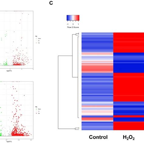 volcano plot a b and hierarchical clustering analysis c revealing