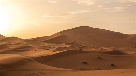 Sand Dunes Horizon Wallpaper Sa Mạc Phông Nền Hình ảnh